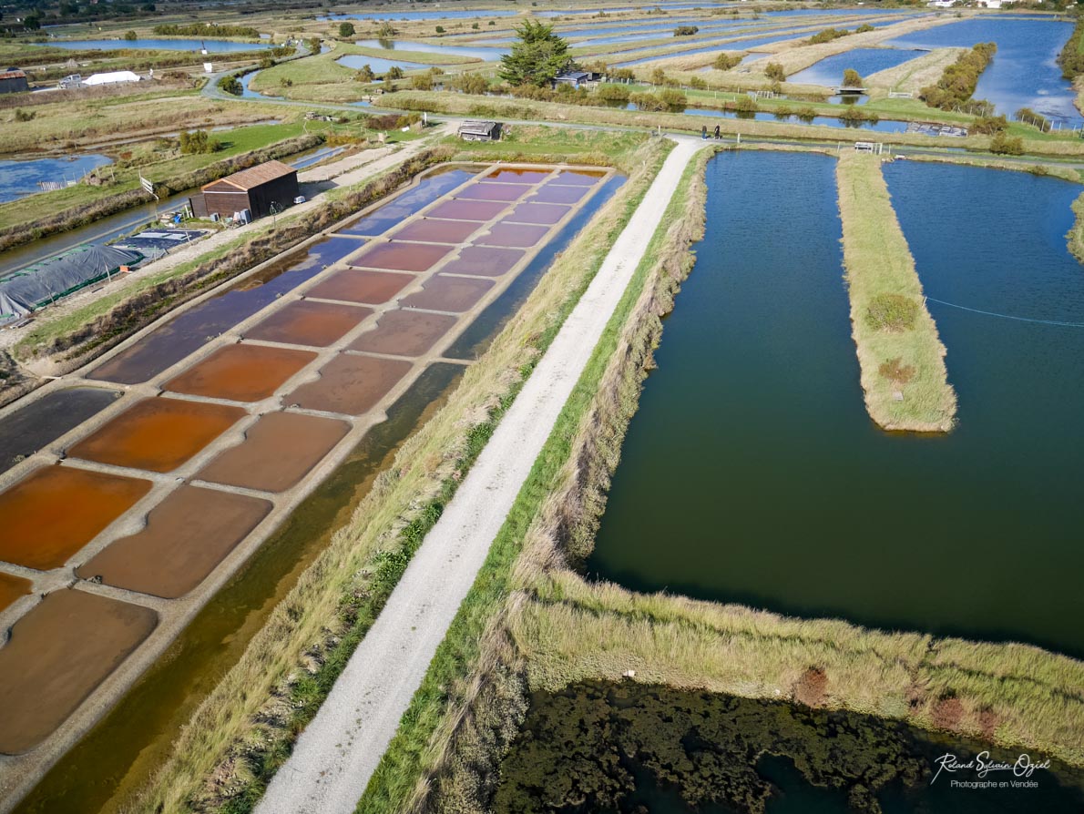 Expérience découverte du Marais salant